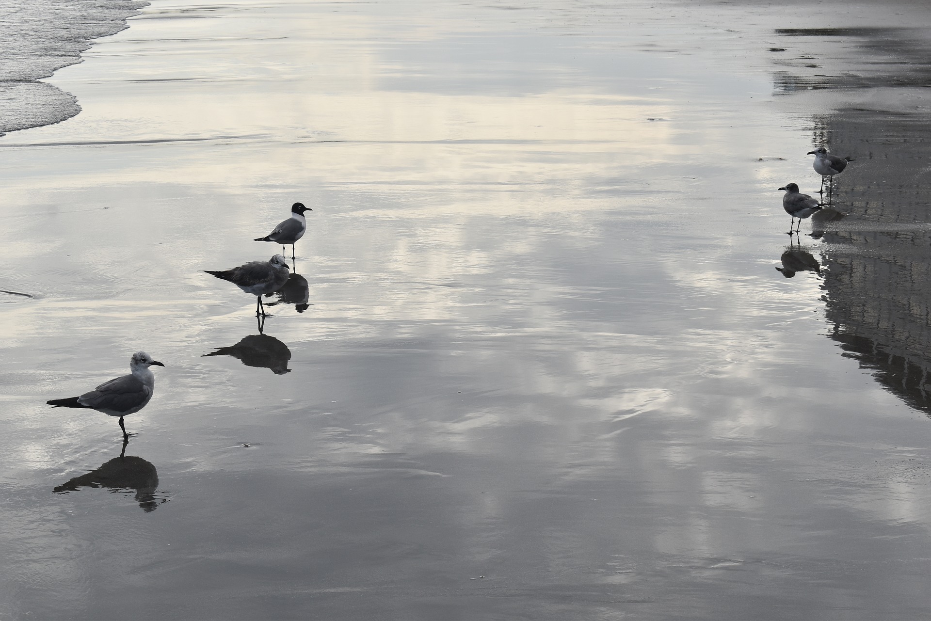 Recruit | アクセレント株式会社